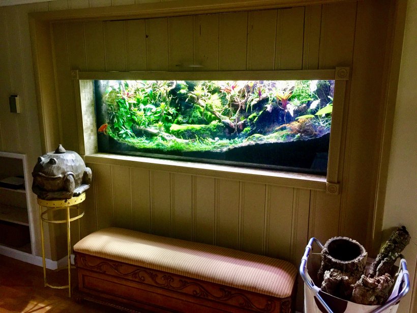 Coolest Vivariums